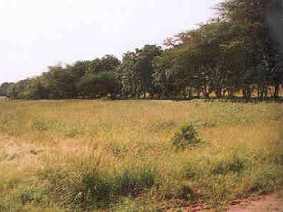 Central Arid Zone Research Institute